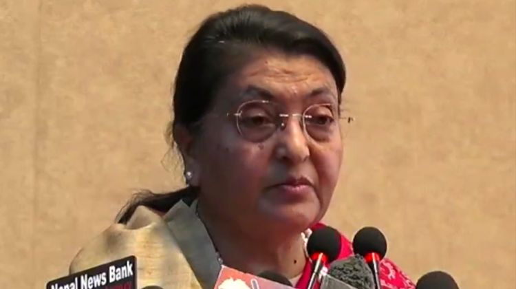 कला र साहित्यले विश्वव्यापी भाइचारालाई मजबुत बनाउँछ : पूर्वराष्ट्रपति भण्डारी – Hamro Sambad